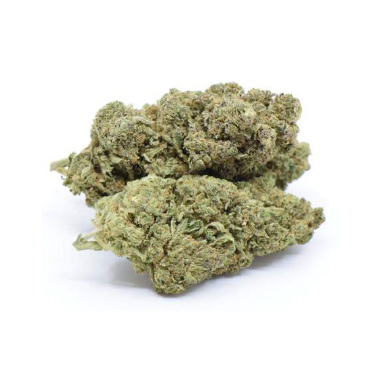 Super Silver Haze Indoor