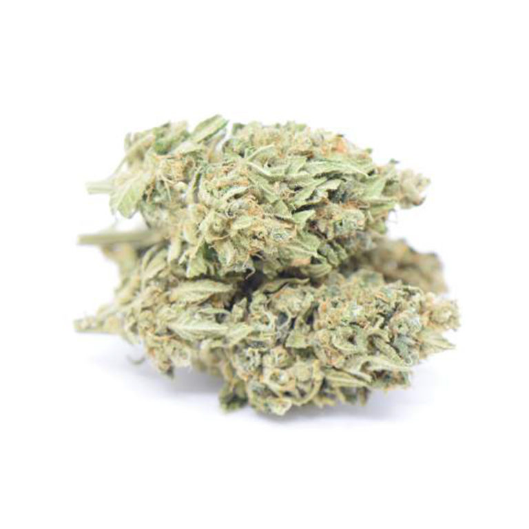 Amnesia Kush Indoor 0.5 | CBD Grosshandel | Alplant.ch